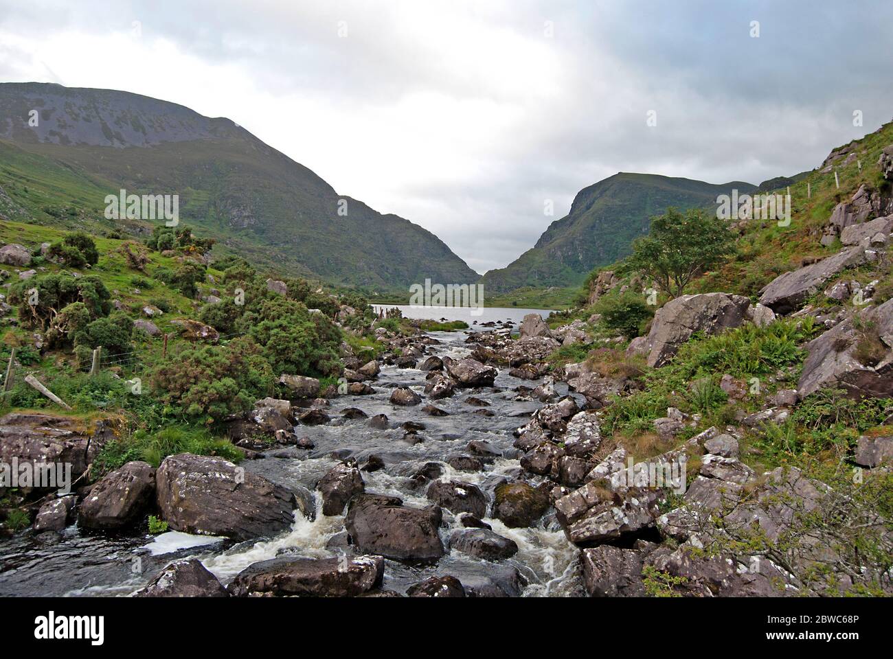 Stream in the near of the Old Weir Bridge in the Killarney National ...
