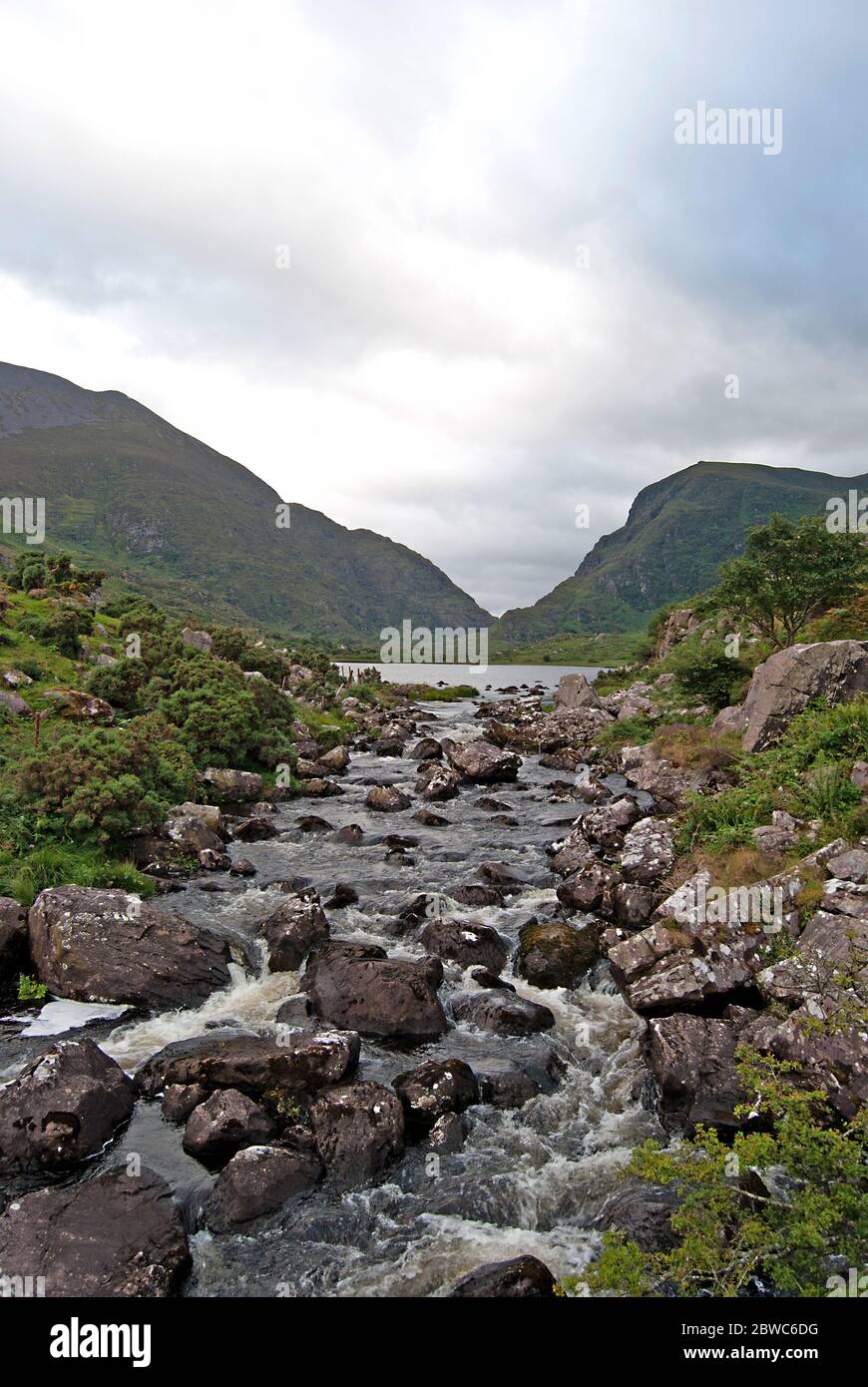 Stream in the near of the Old Weir Bridge in the Killarney National ...