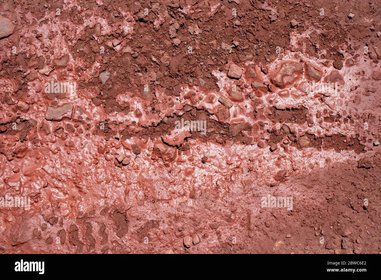 Red cracked soil natural background. Dried earth in the puddle Stock ...