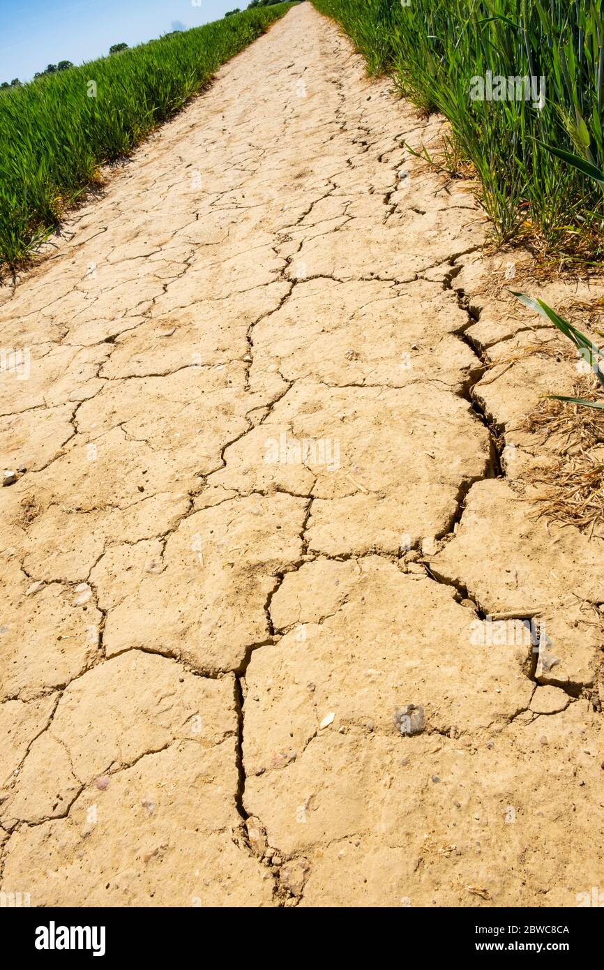 Dry ground in England Stock Photo - Alamy