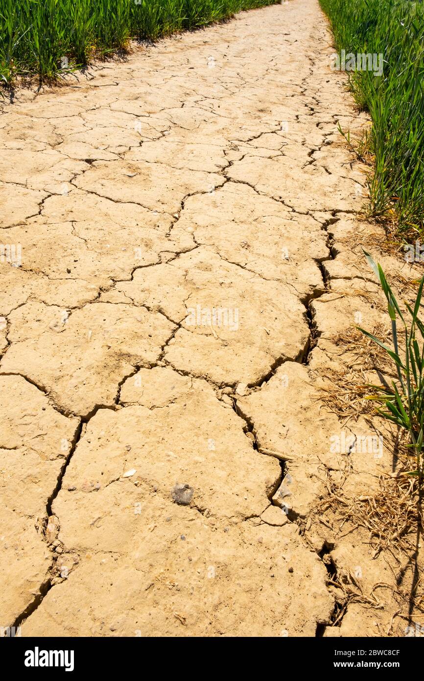 Dry ground in England Stock Photo - Alamy