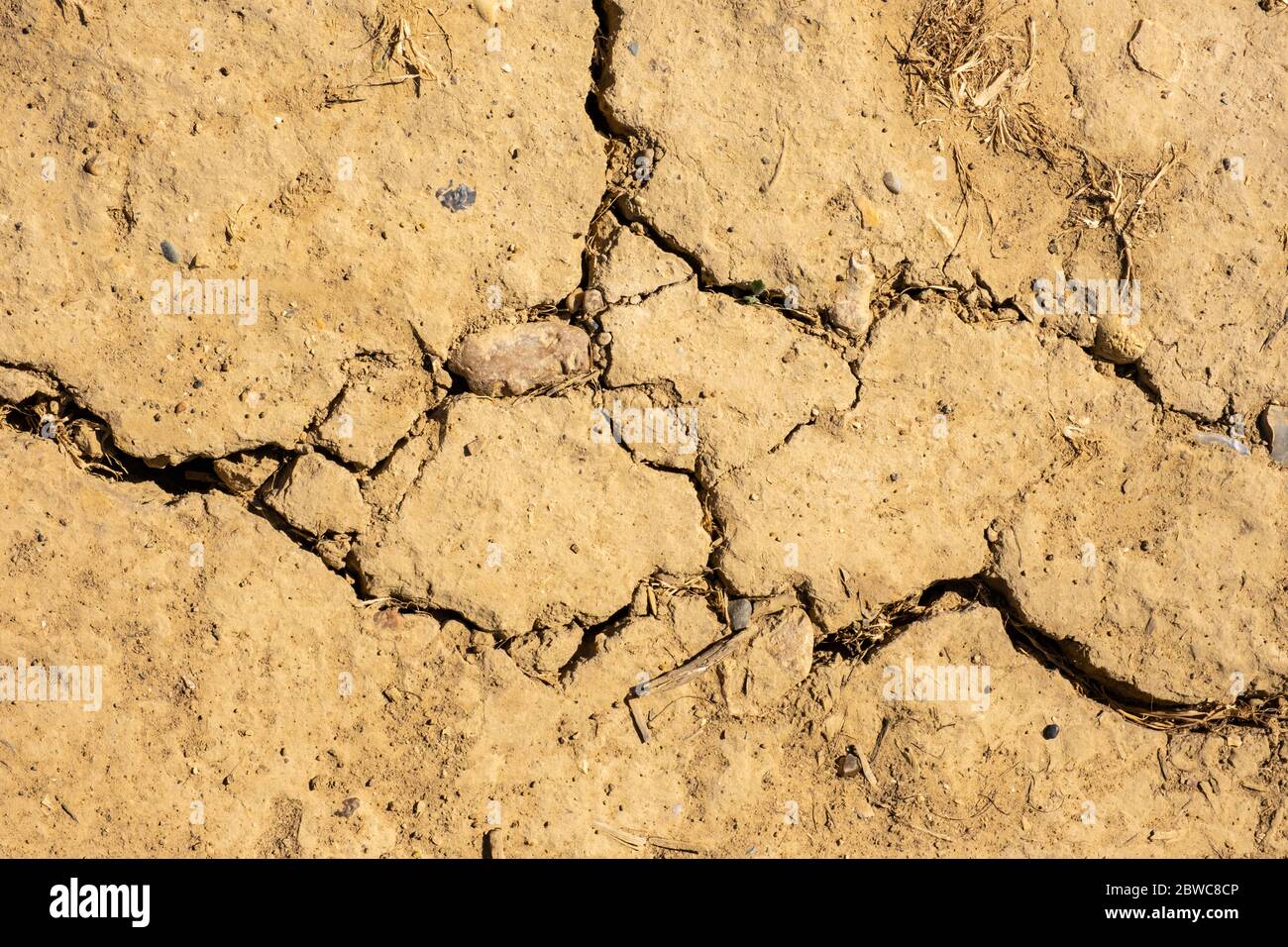 Baked dry earth hi-res stock photography and images - Alamy