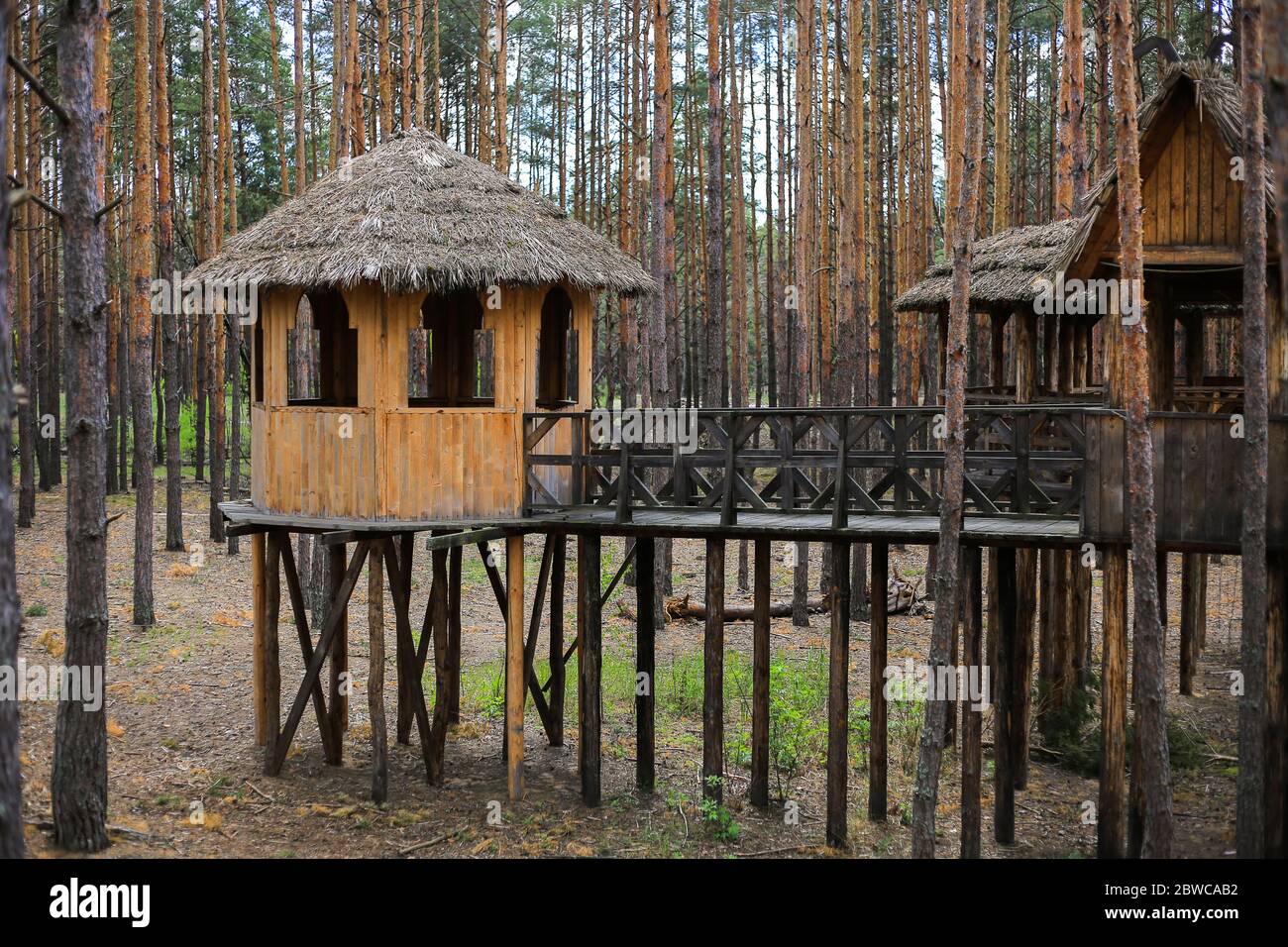 Wild arbor hi-res stock photography and images - Alamy