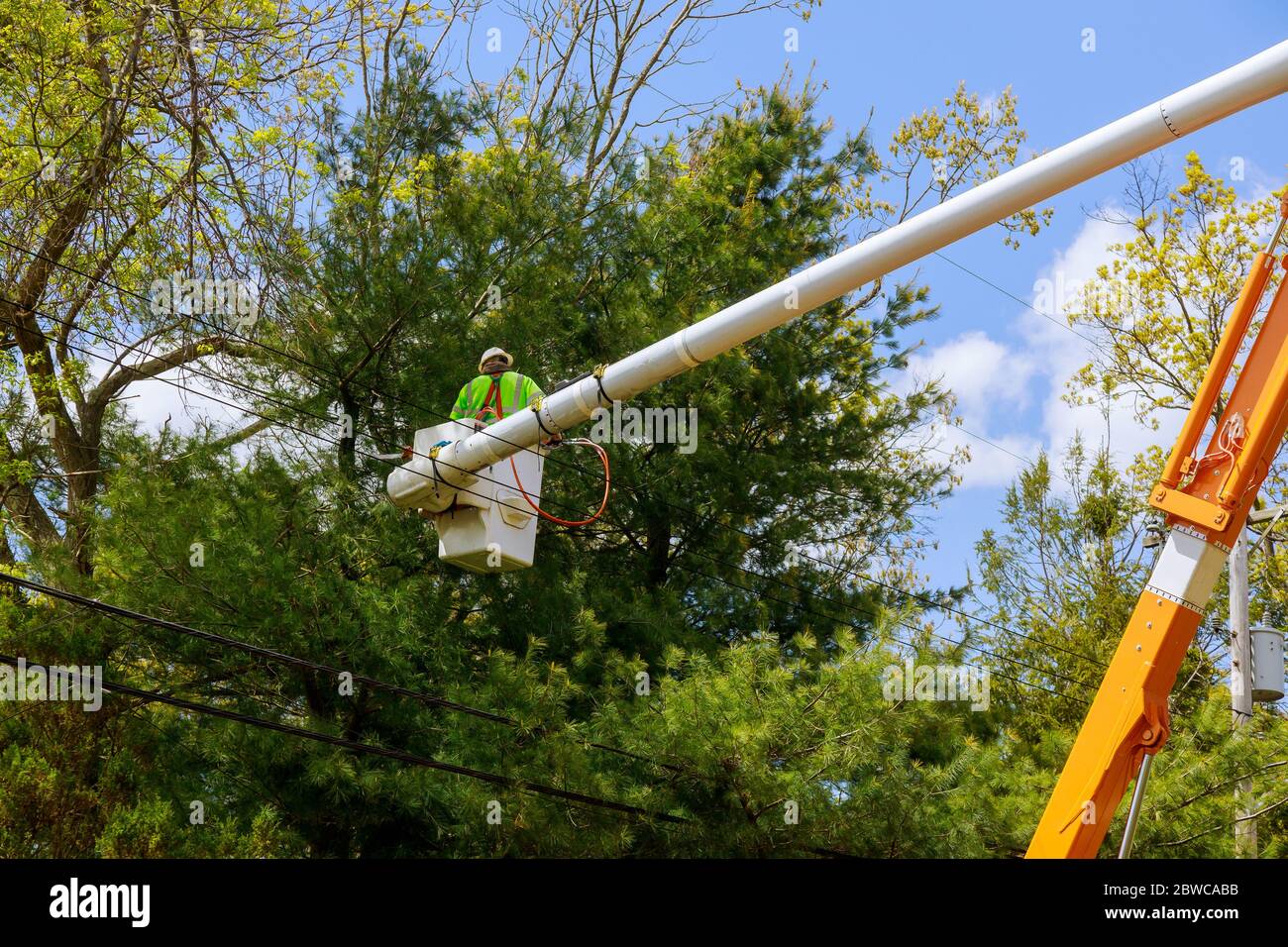 Spring cutting tree care pruning by the man standing on a crane lifting ...