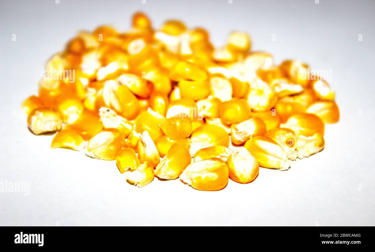 A picture of corn seeds Stock Photo - Alamy