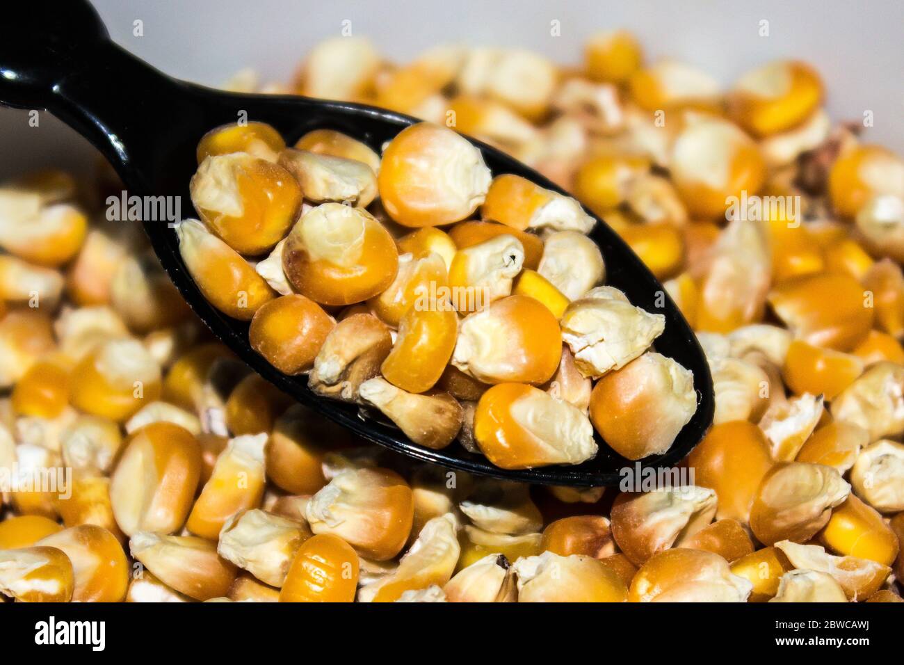Pop corn corn seeds hi-res stock photography and images - Alamy