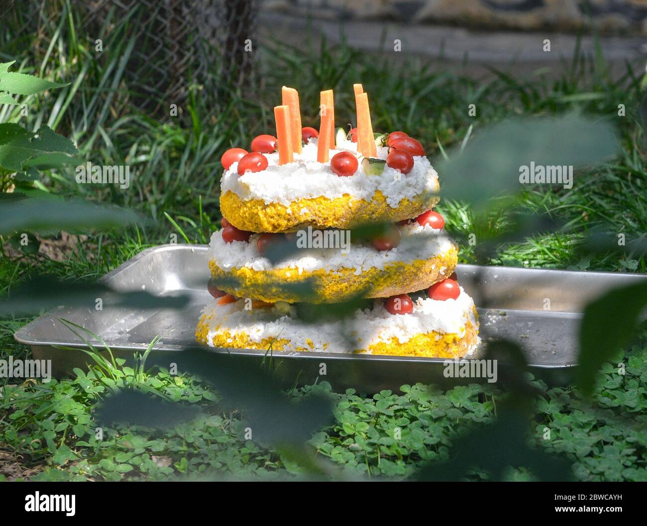 Luoyang, China. 29th May, 2020. a keeper at wangcheng park in luoyang ...