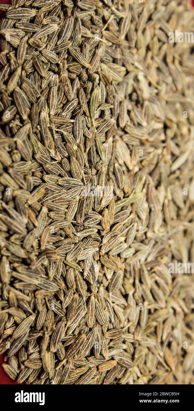 A picture of cumin seeds Stock Photo - Alamy
