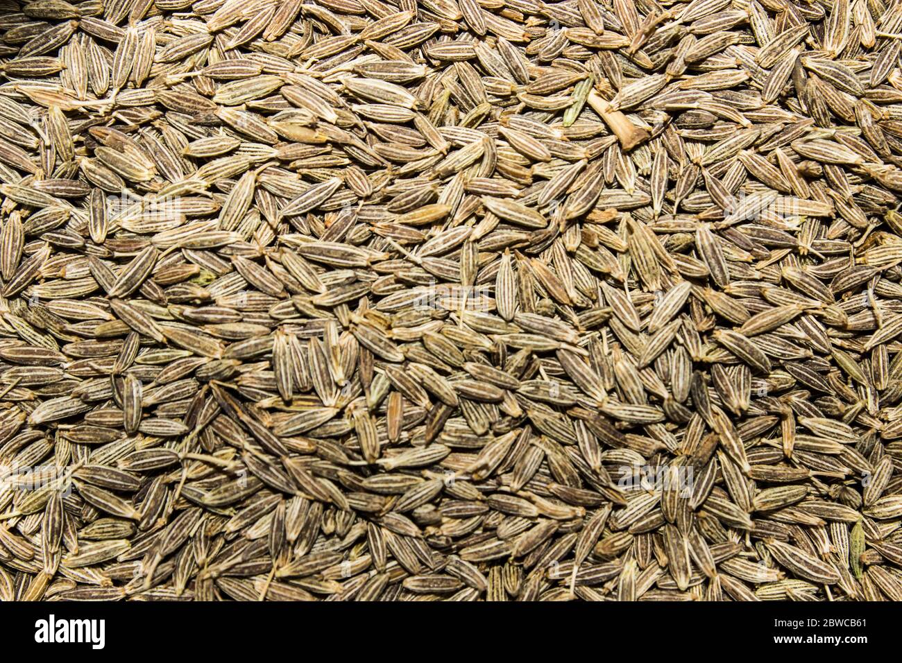 A picture of cumin seeds Stock Photo - Alamy