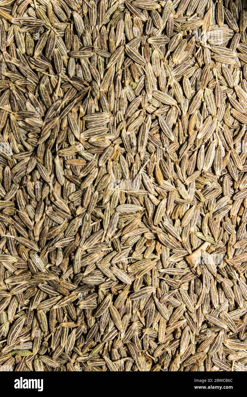 A picture of cumin seeds Stock Photo - Alamy