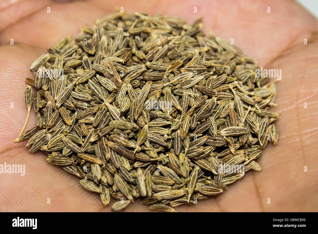 A picture of cumin seeds Stock Photo - Alamy