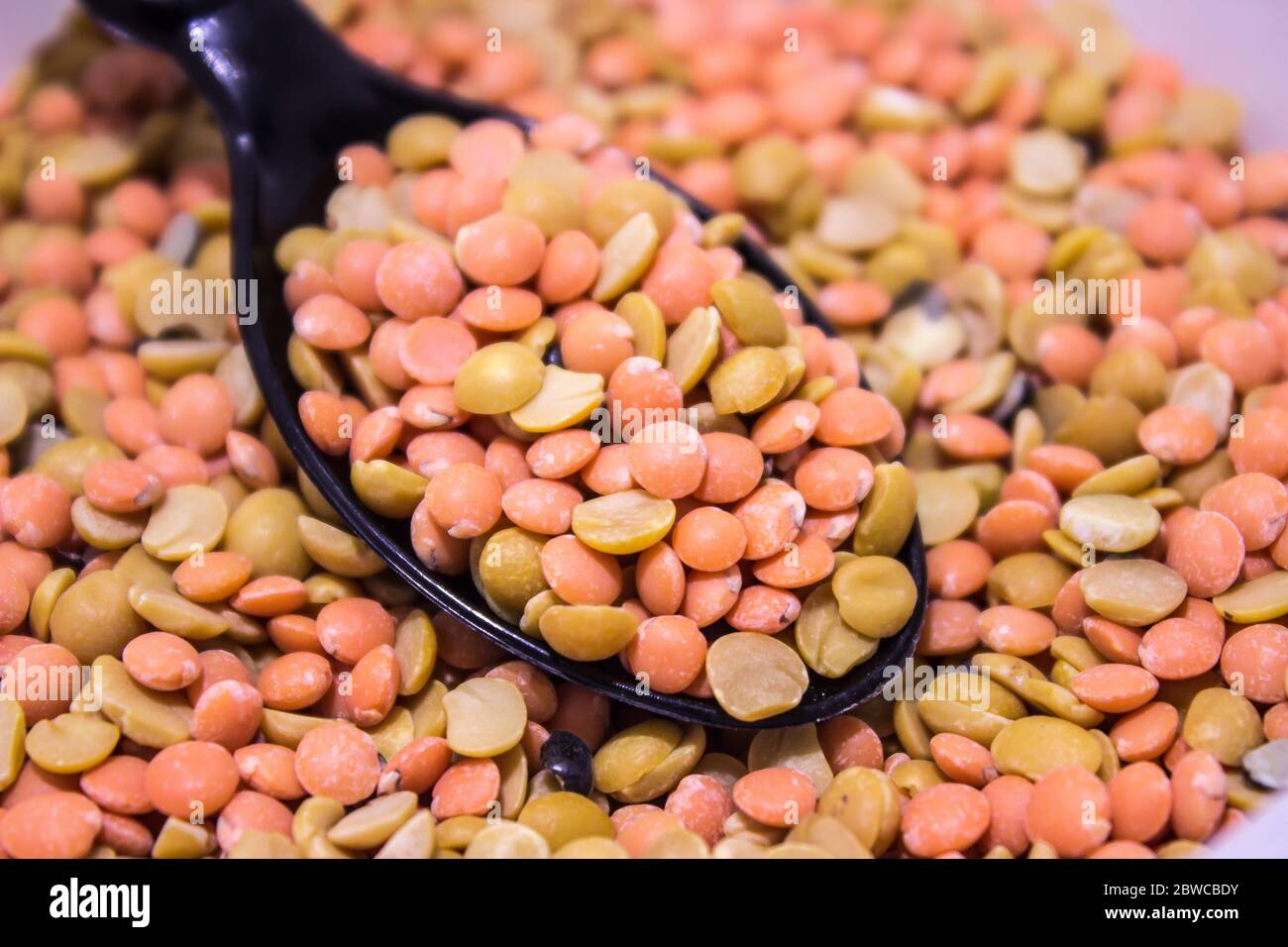 A picture of lentil Stock Photo - Alamy