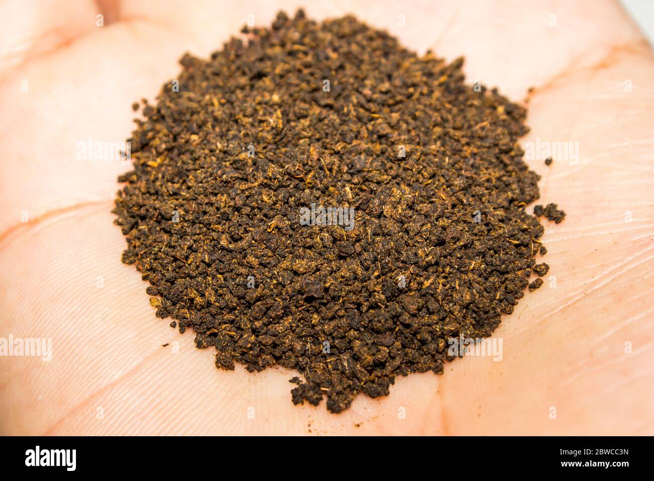 A picture of chai patti Stock Photo - Alamy