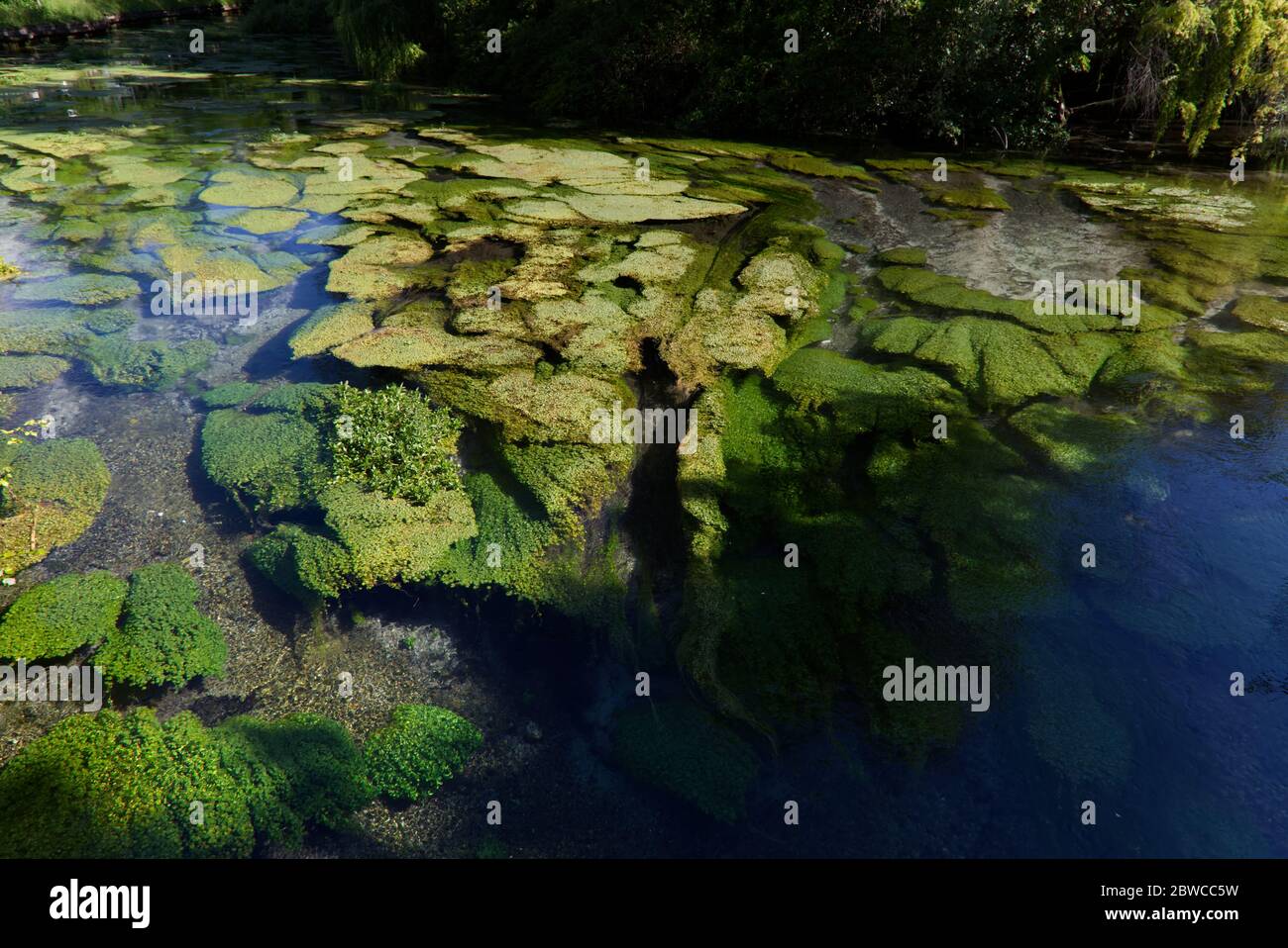 Porcia river hi-res stock photography and images - Alamy