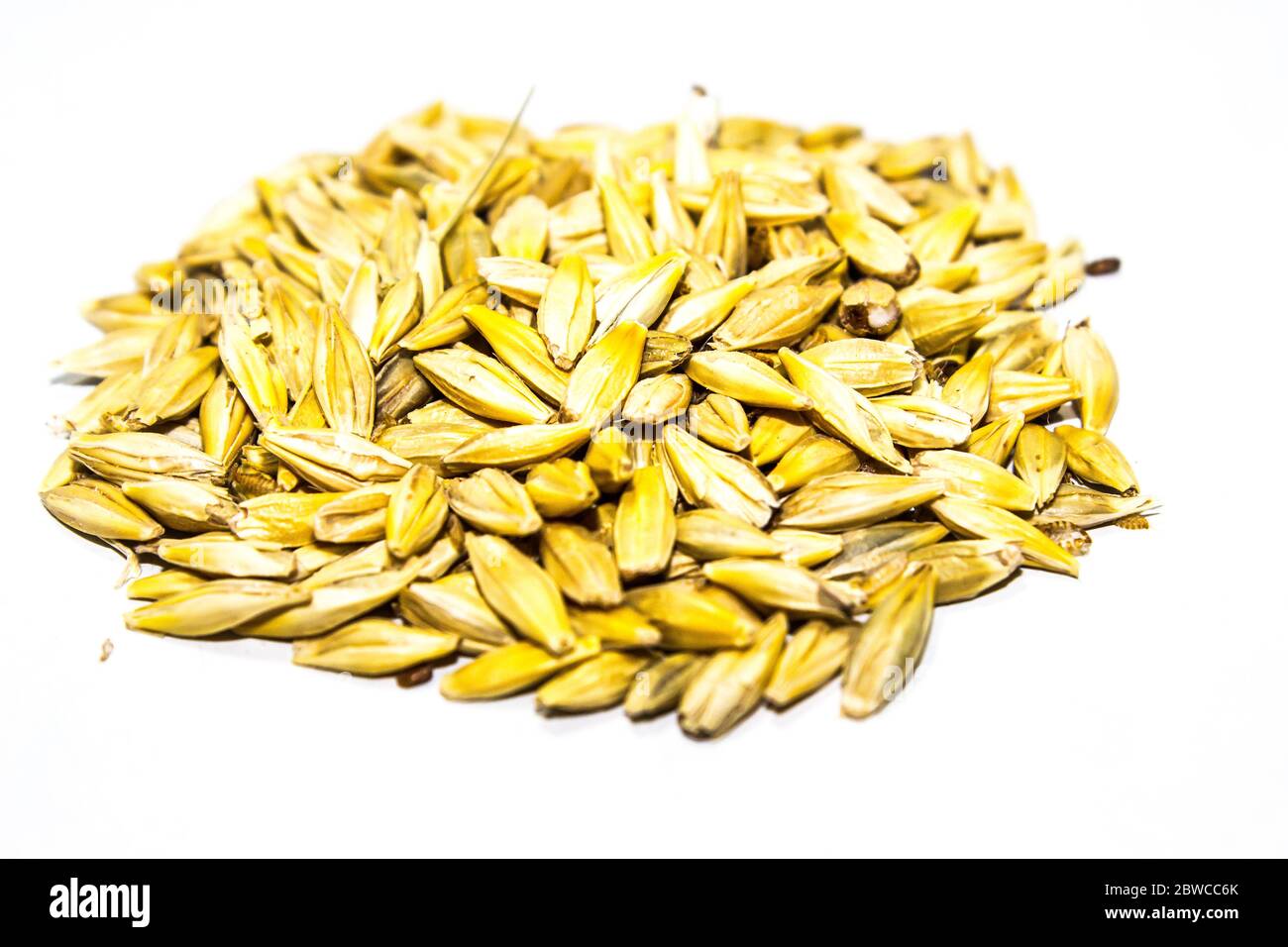 Barley corn hi-res stock photography and images - Alamy