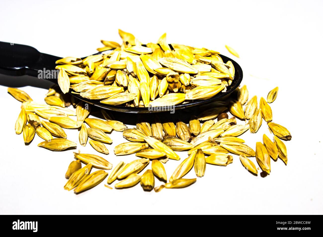 Corn vector hi-res stock photography and images - Alamy