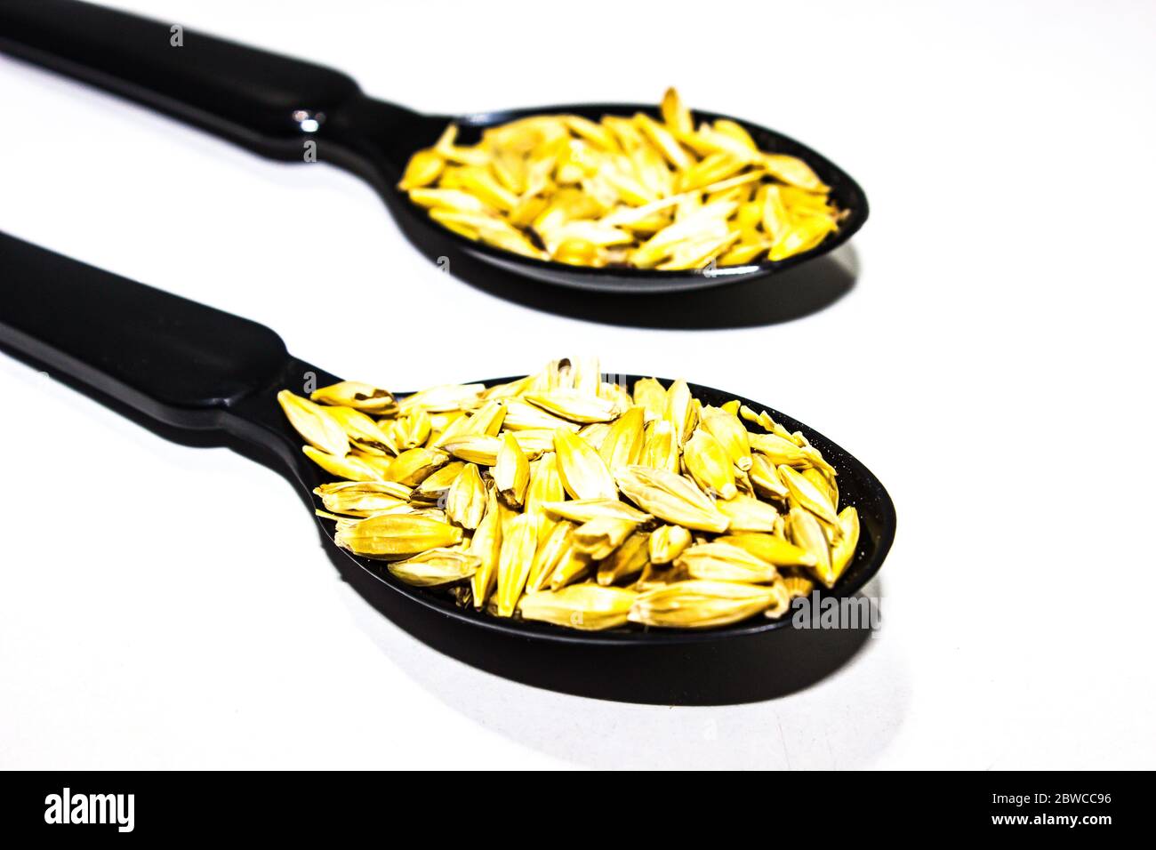 A picture of barley corn Stock Photo - Alamy