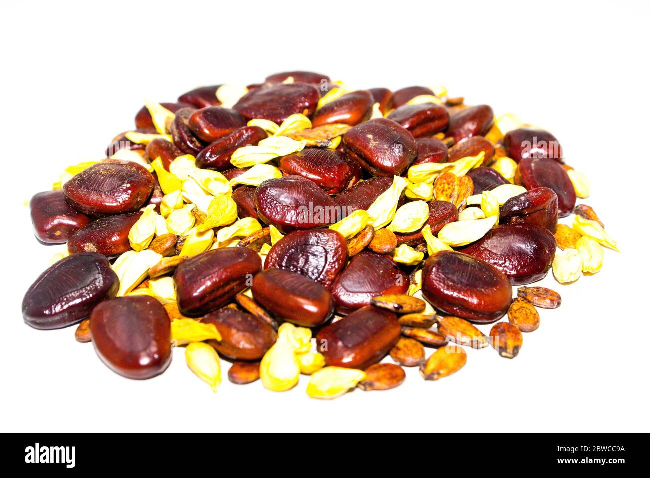 A picture of mixed seeds Stock Photo - Alamy