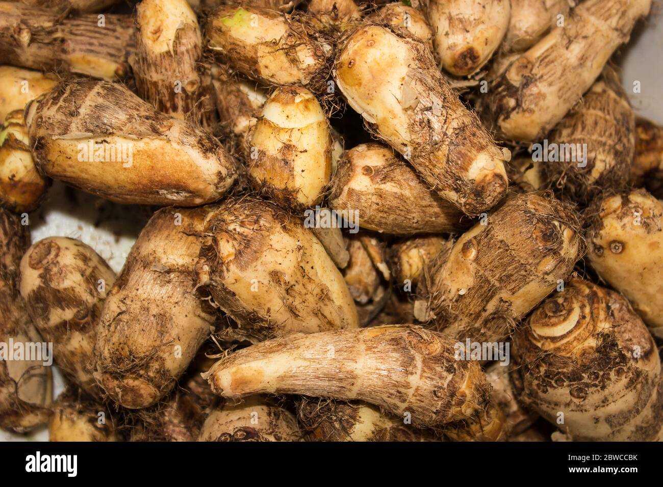 Purple taro root isolated hi-res stock photography and images - Alamy