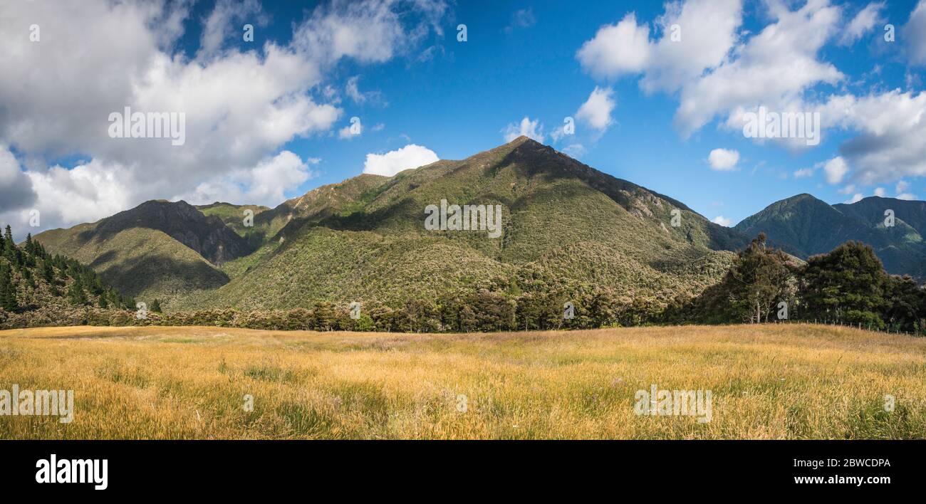 Temperate grassland hi-res stock photography and images - Alamy