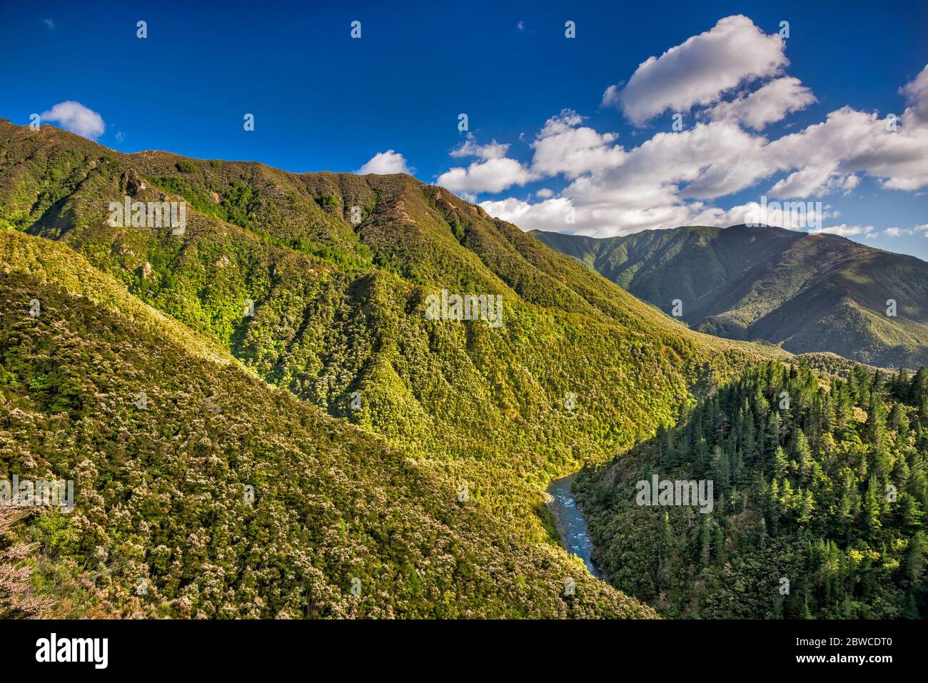 Ngaruroro River, Kaweka Range mountains, Kaweka Forest Park, from ...
