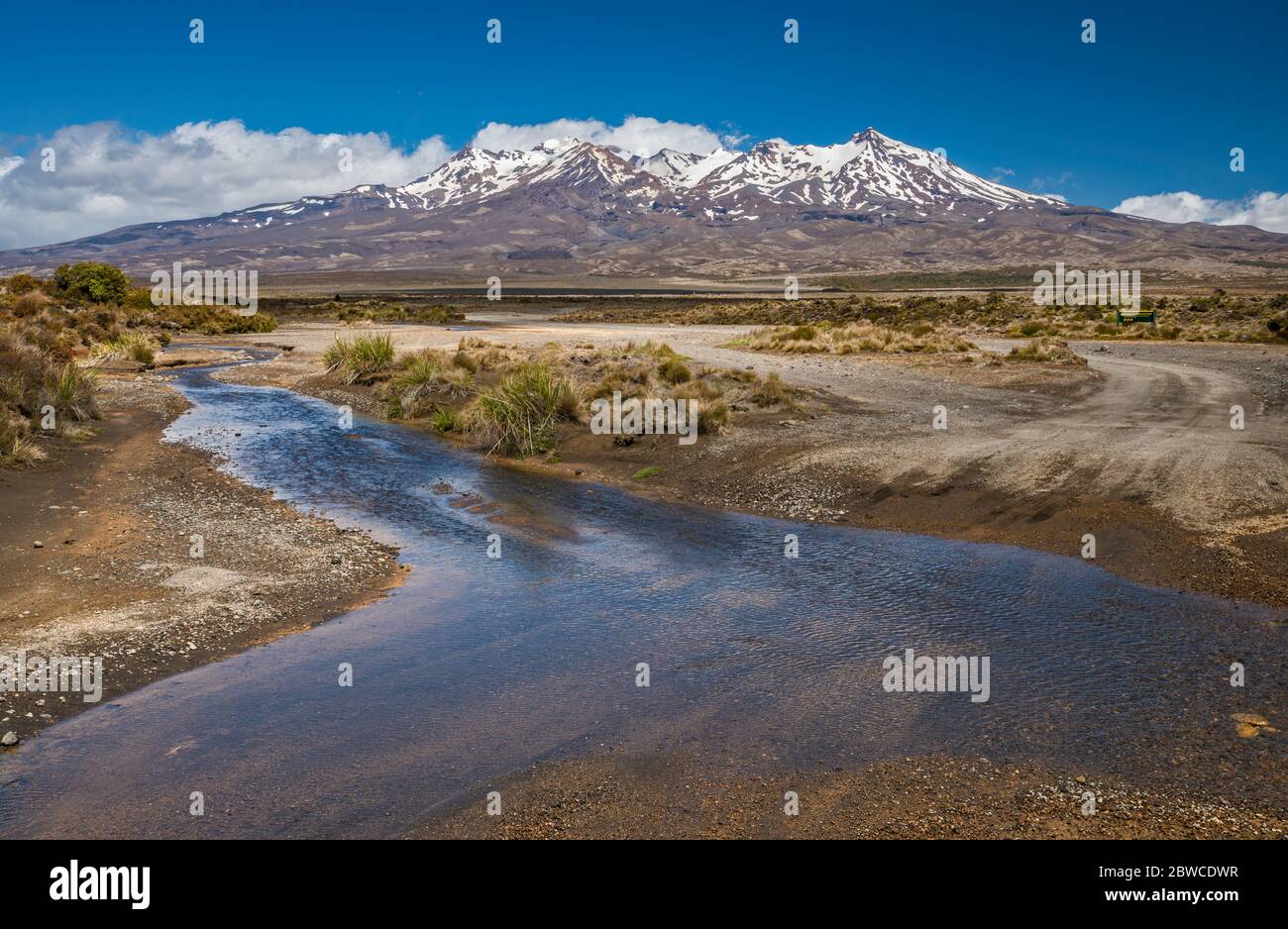 Desert road new zealand hi-res stock photography and images - Alamy