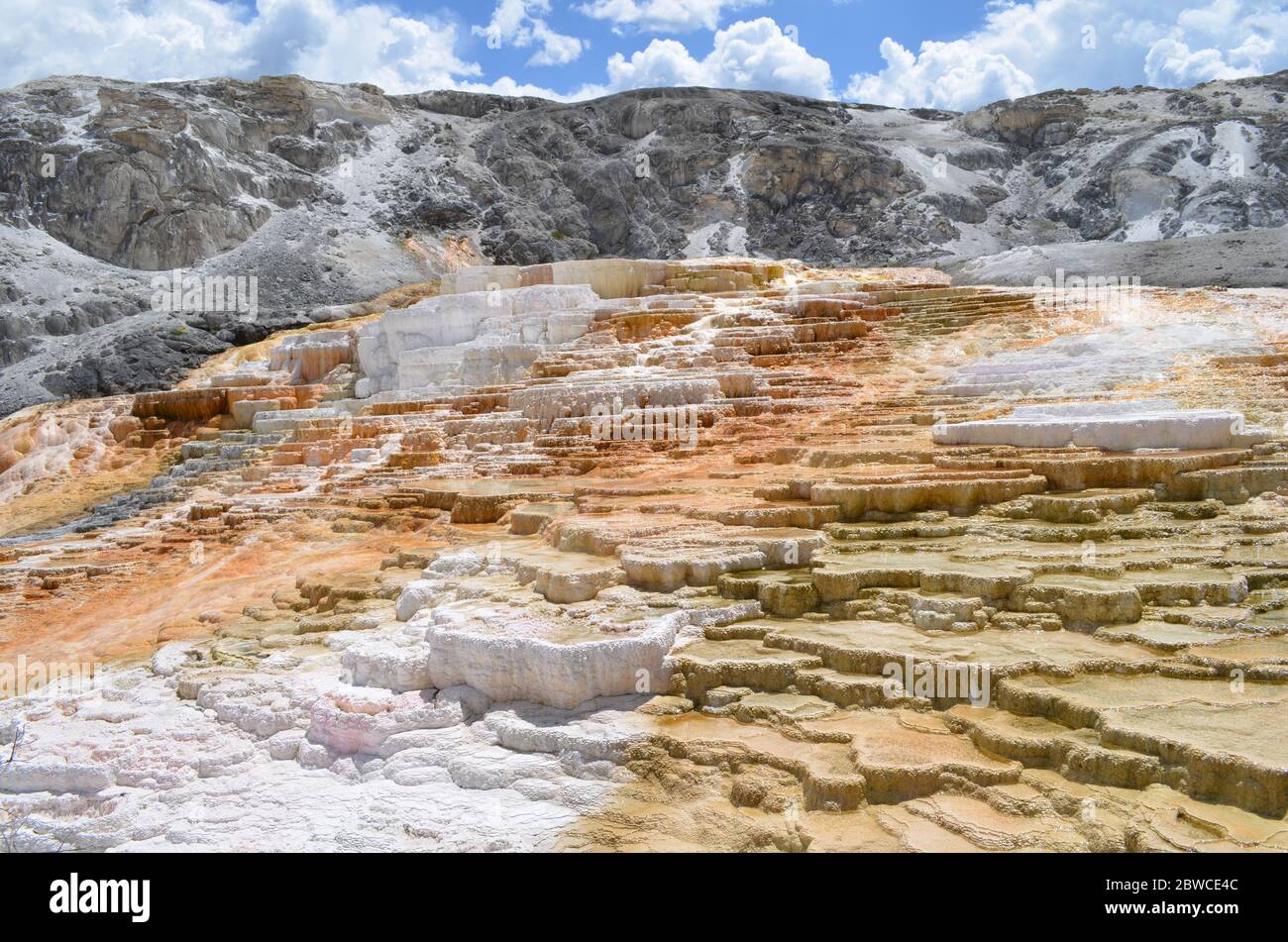 Late Spring in Yellowstone National Park: Mound Spring in the Lower ...