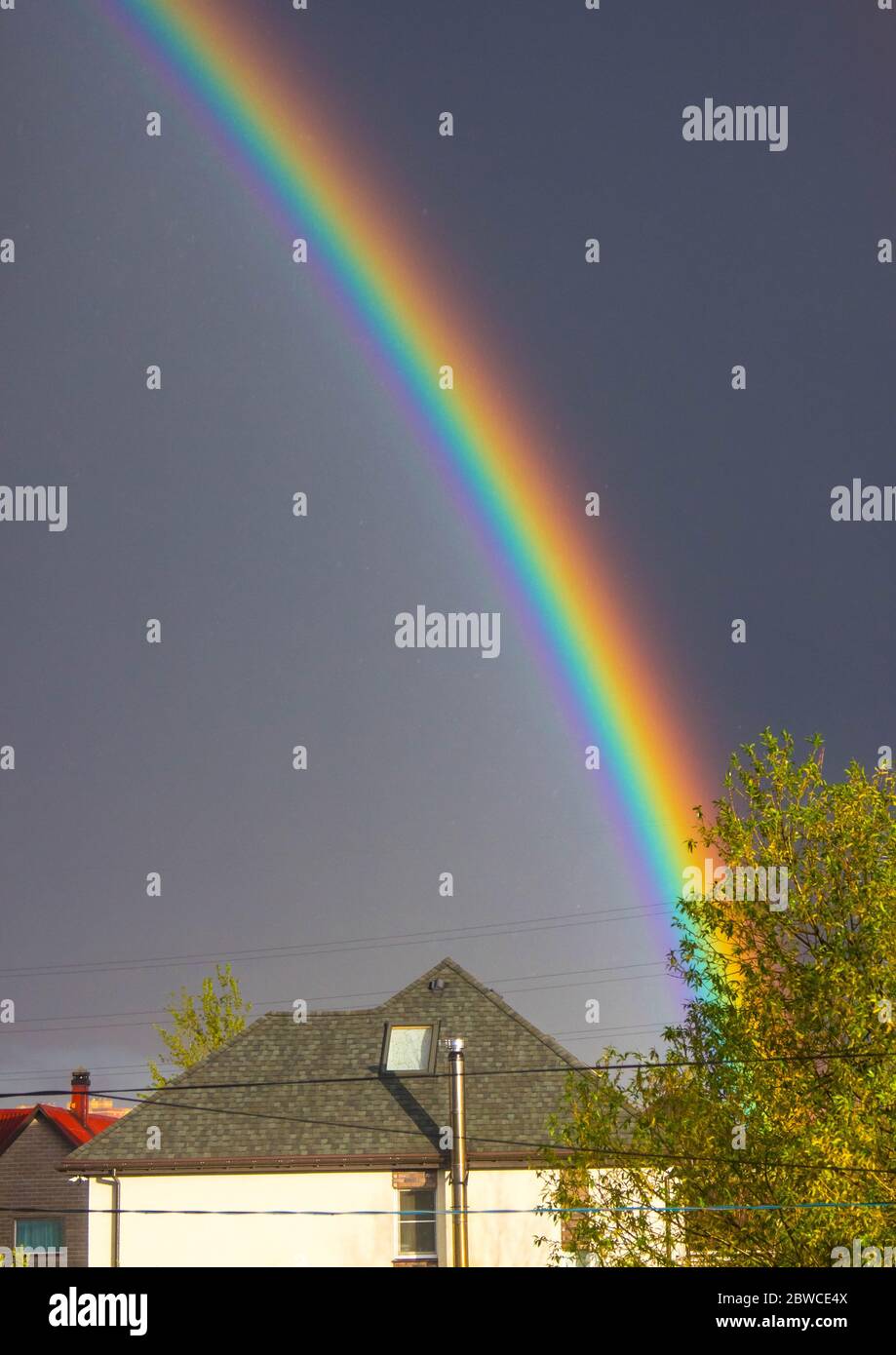 Rainbows In The Rain