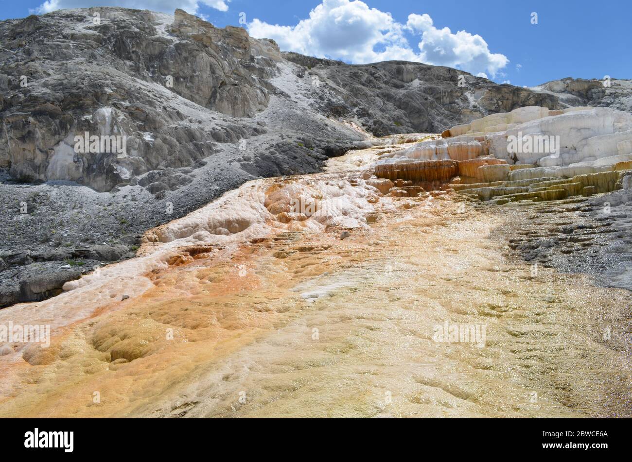 Late Spring in Yellowstone National Park: Mound Spring Just Below the ...