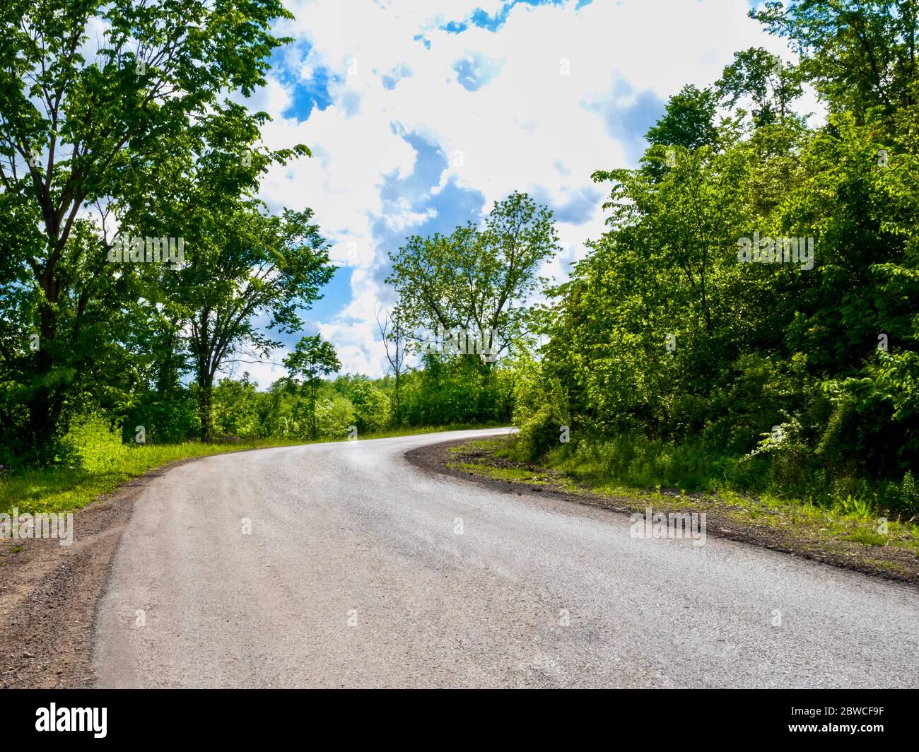 Nature landscape scene of an uphill winding curve road surrounded by ...