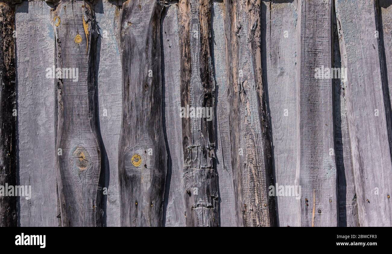 abstract background of old gray boards with a beautiful texture with ...