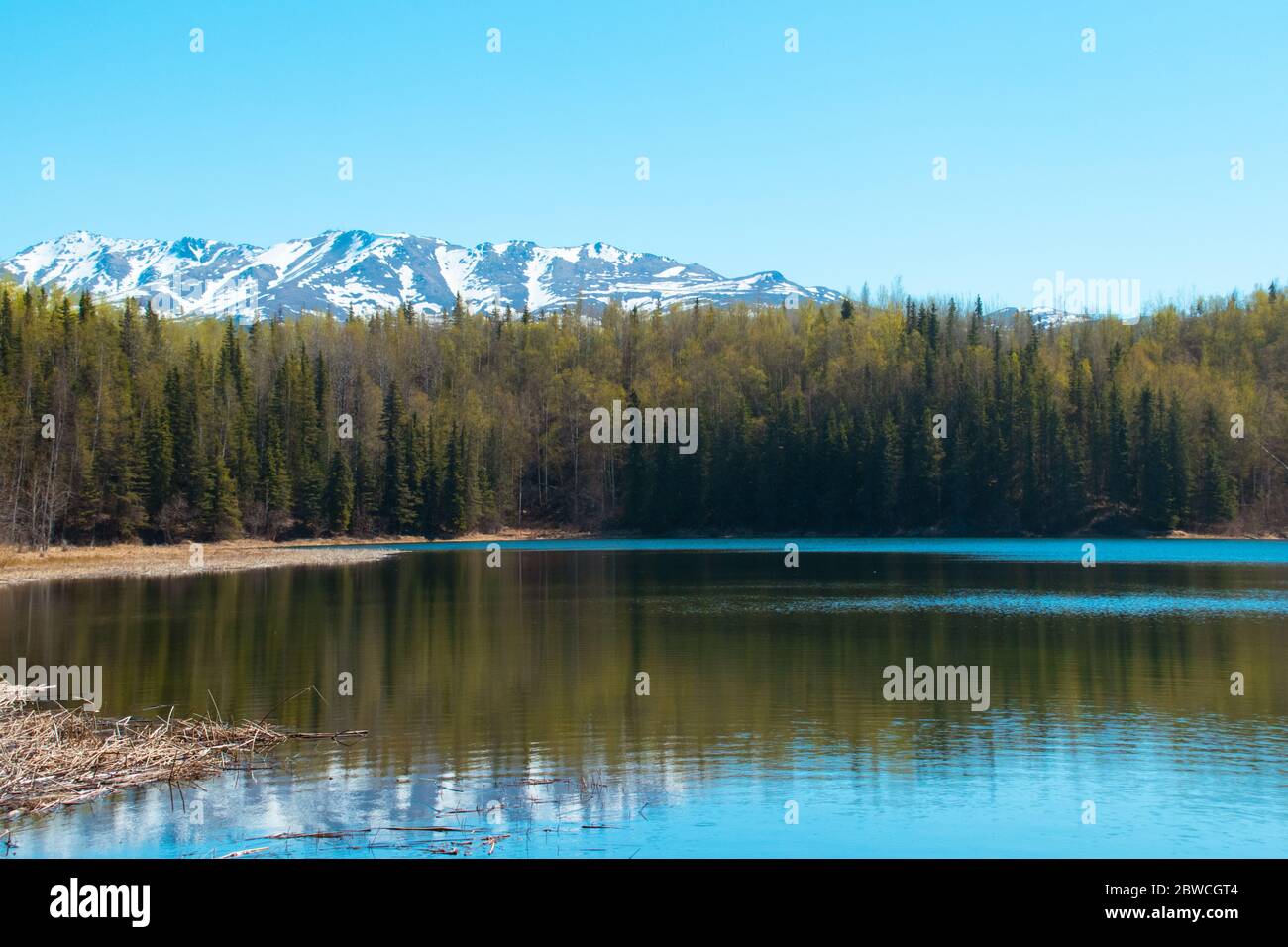 Refreshing spring day lake hi-res stock photography and images - Alamy