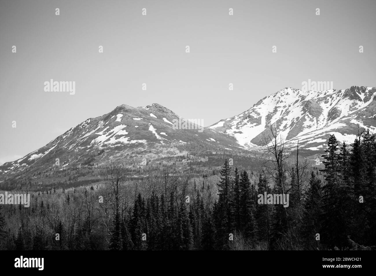 Mountain peaks poke up beyond the tree line Stock Photo - Alamy