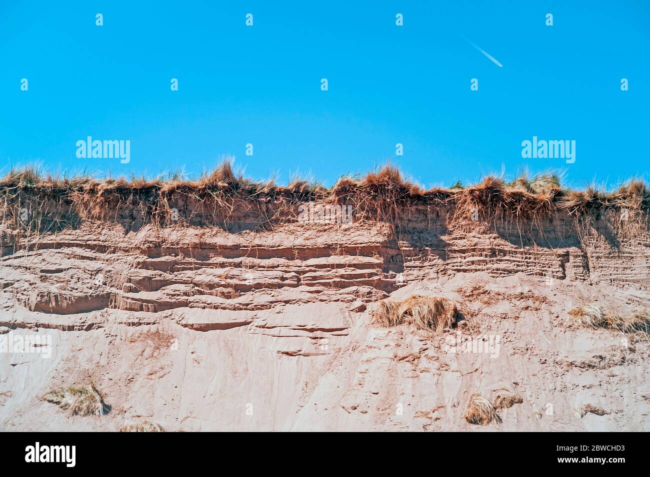 Face on view of sand dunes suffering severe erosion with overhanging ...