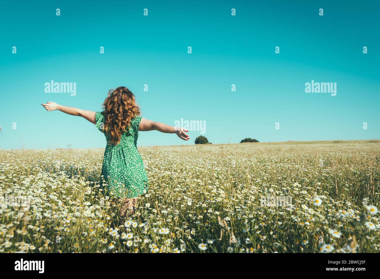 Woman and back and curvy and dress hi-res stock photography and images ...