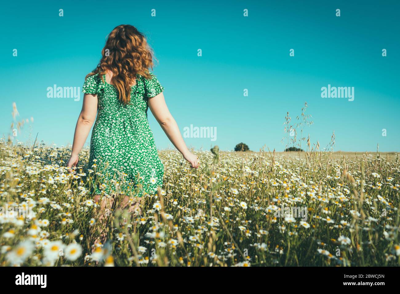 Woman and back and curvy and dress hi-res stock photography and images ...