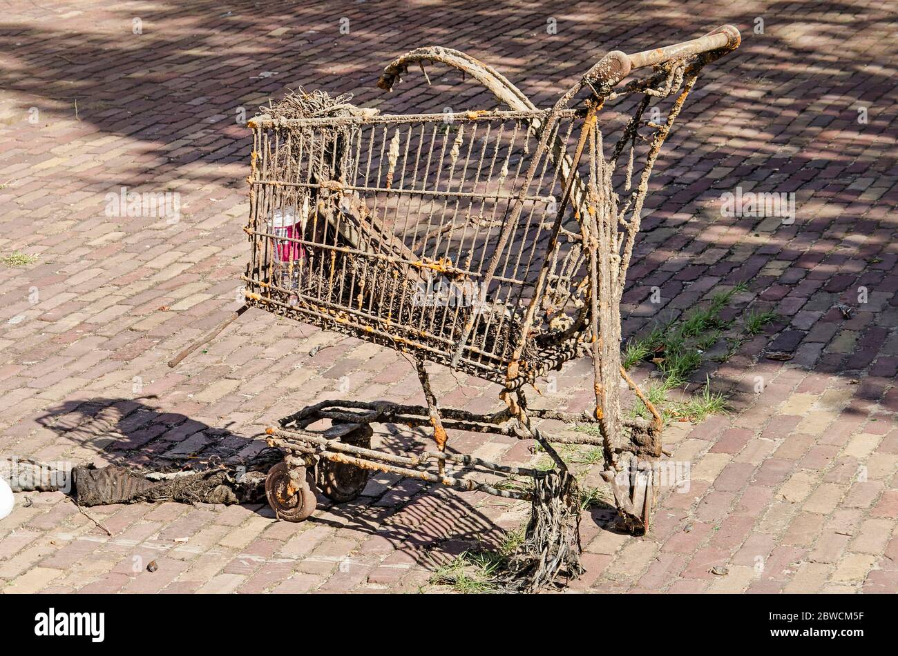 Rotterdam damaged hi-res stock photography and images - Alamy