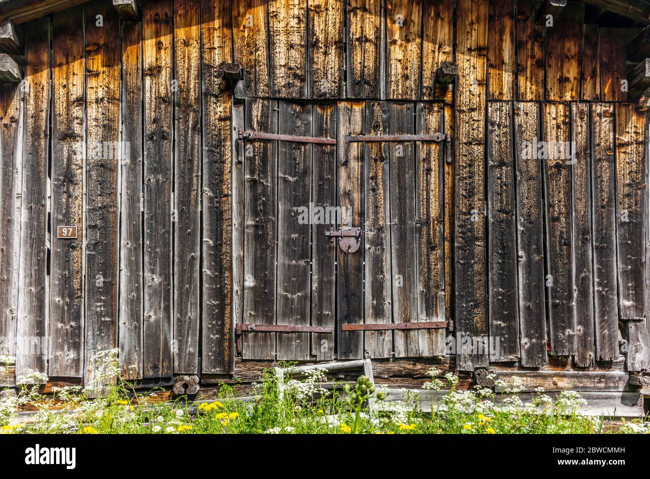Old log stable on the alpine meadows covered in green grass and ...