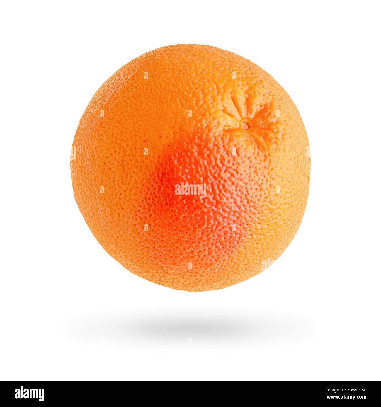 Grapefruit isolated on white background Stock Photo - Alamy