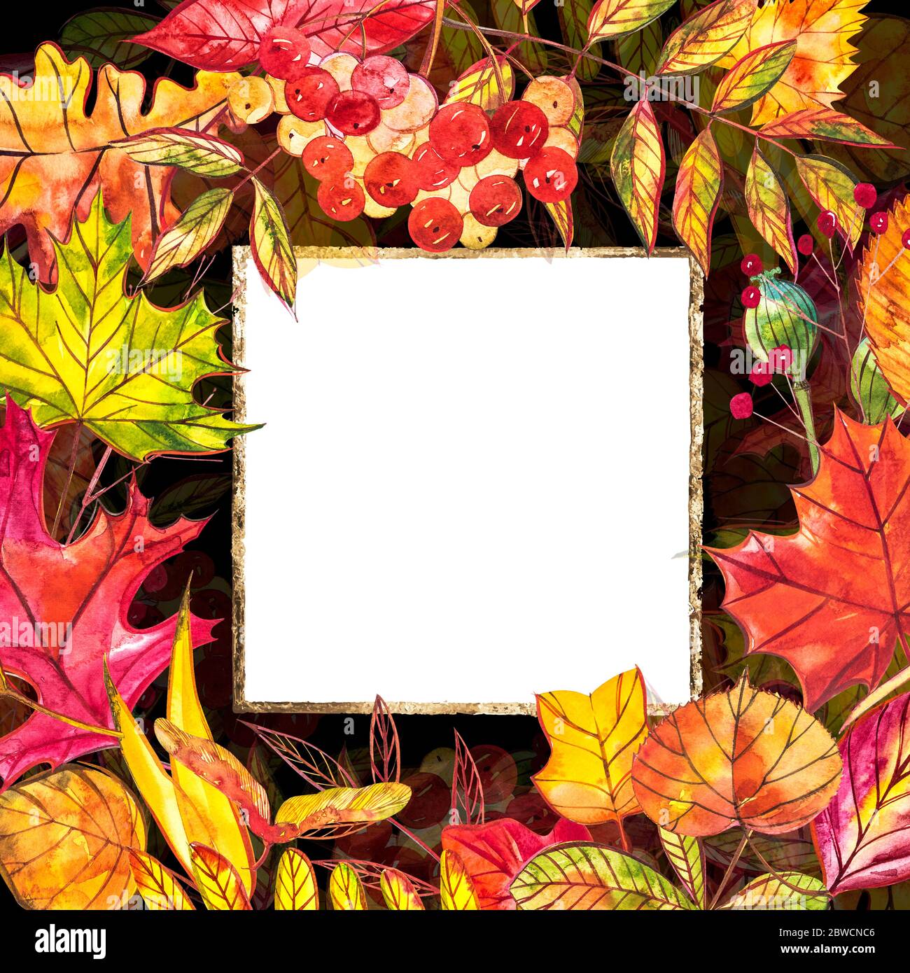 Autumn template background. Seasonal illustrations.web banner template ...