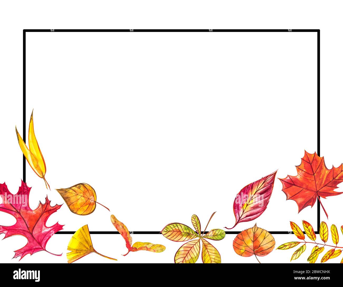 Autumn template background. Seasonal illustrations.web banner template ...