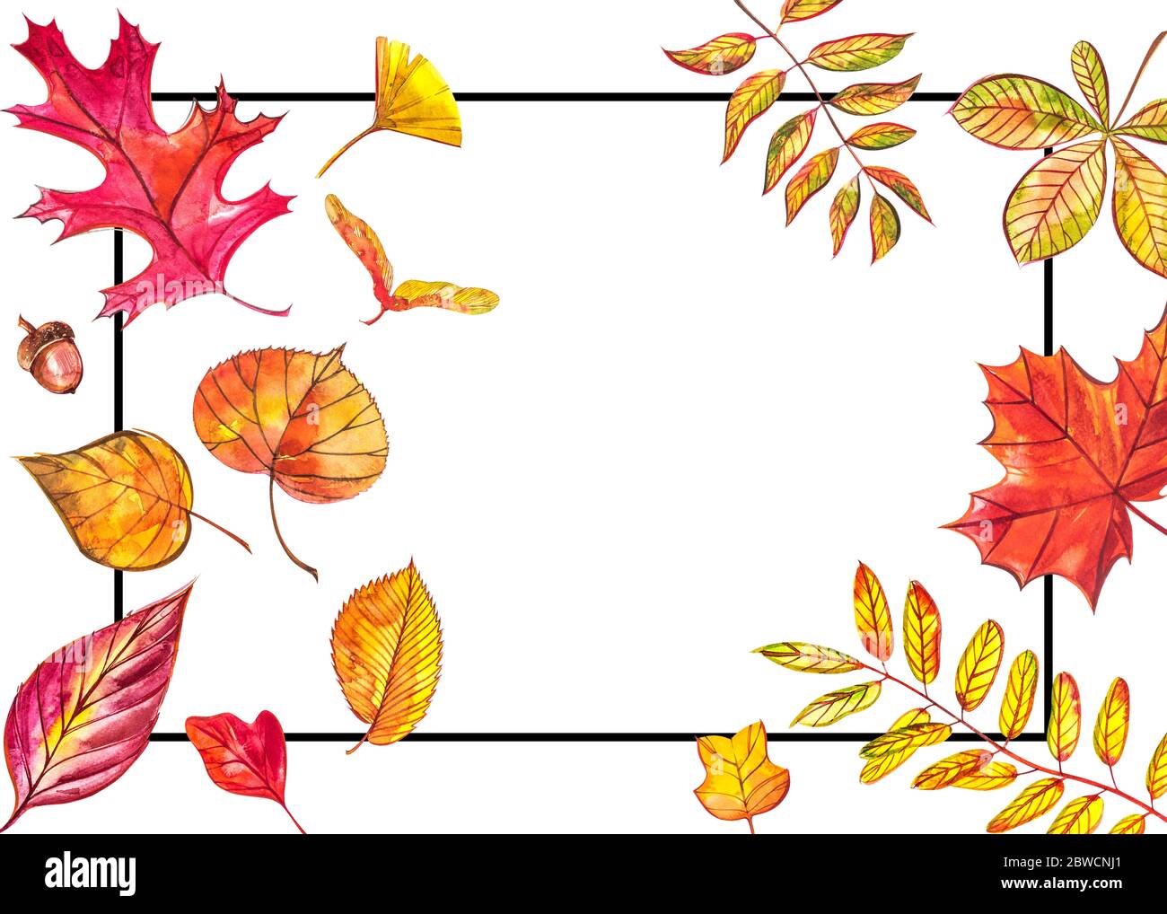 Autumn template background. Seasonal illustrations.web banner template ...