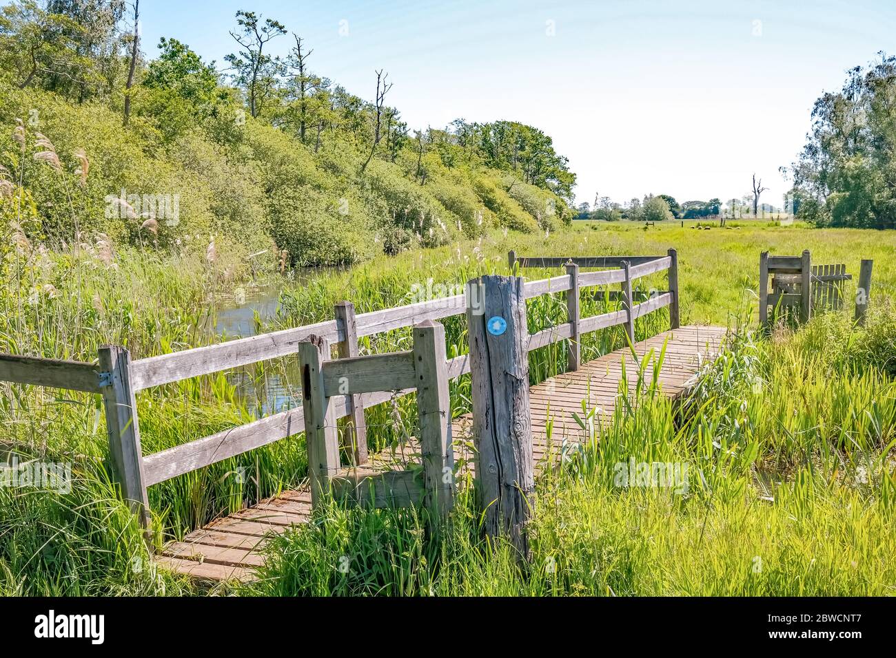 Dilham hi-res stock photography and images - Alamy