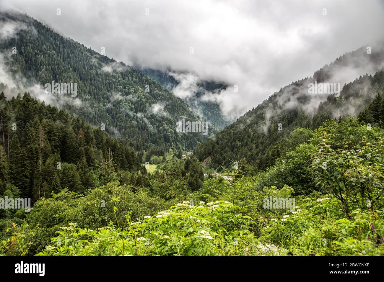 Panoramic view of Cat Village and its historic Ottoman stone arch ...