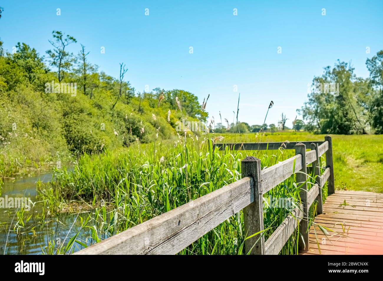 Honing norfolk hi-res stock photography and images - Alamy