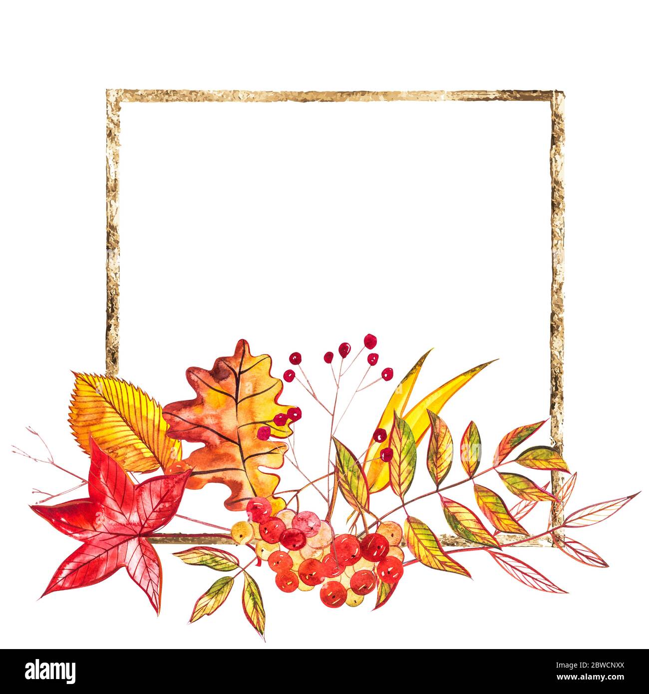Autumn composition. Illustrations made of autumn berries and leaves on ...