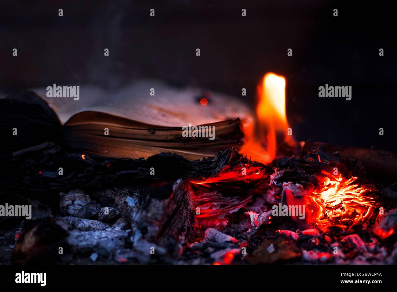 People Burning Books