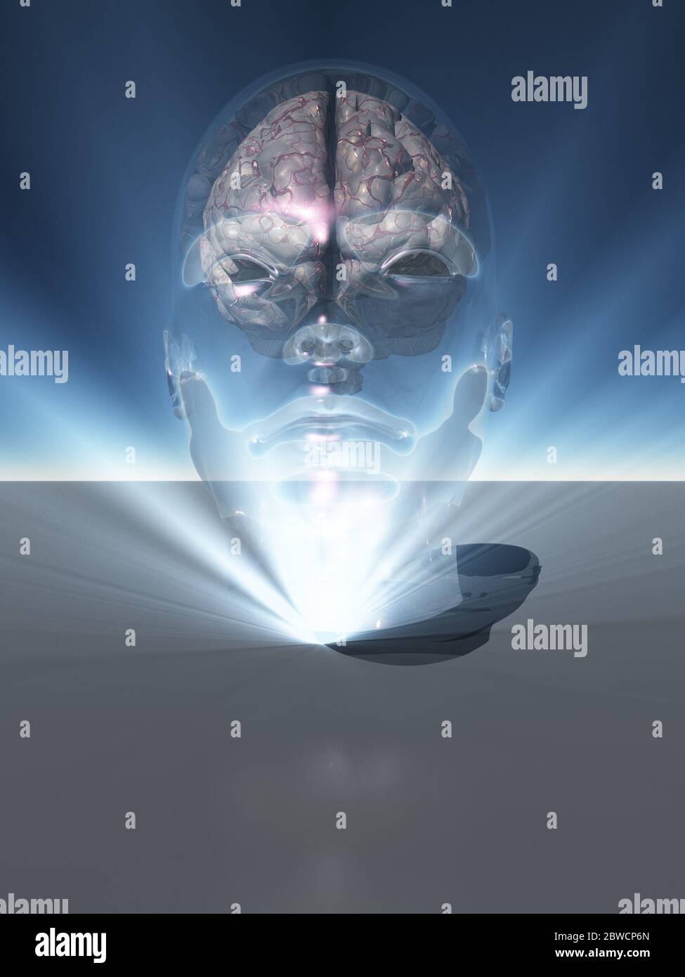 Human head transparent model with brain Stock Photo - Alamy