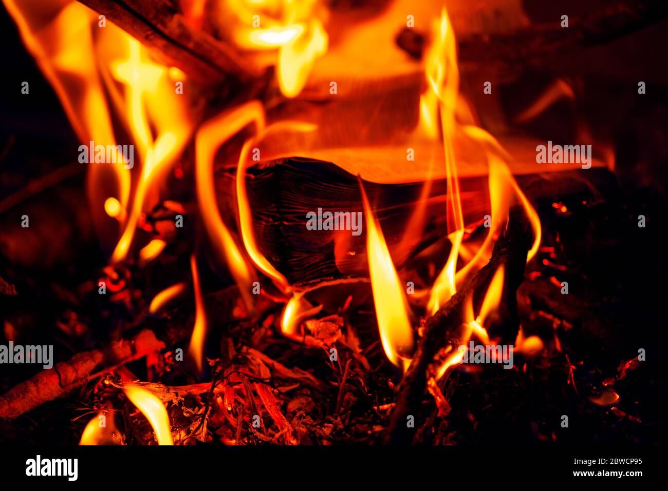 People Burning Books