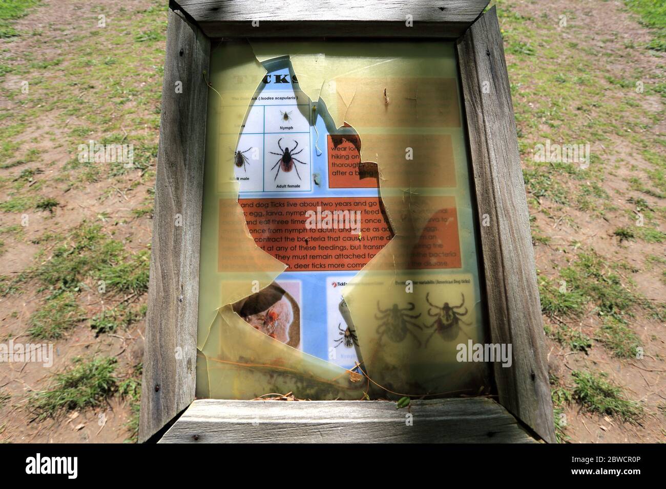 Tick ticks hi-res stock photography and images - Alamy